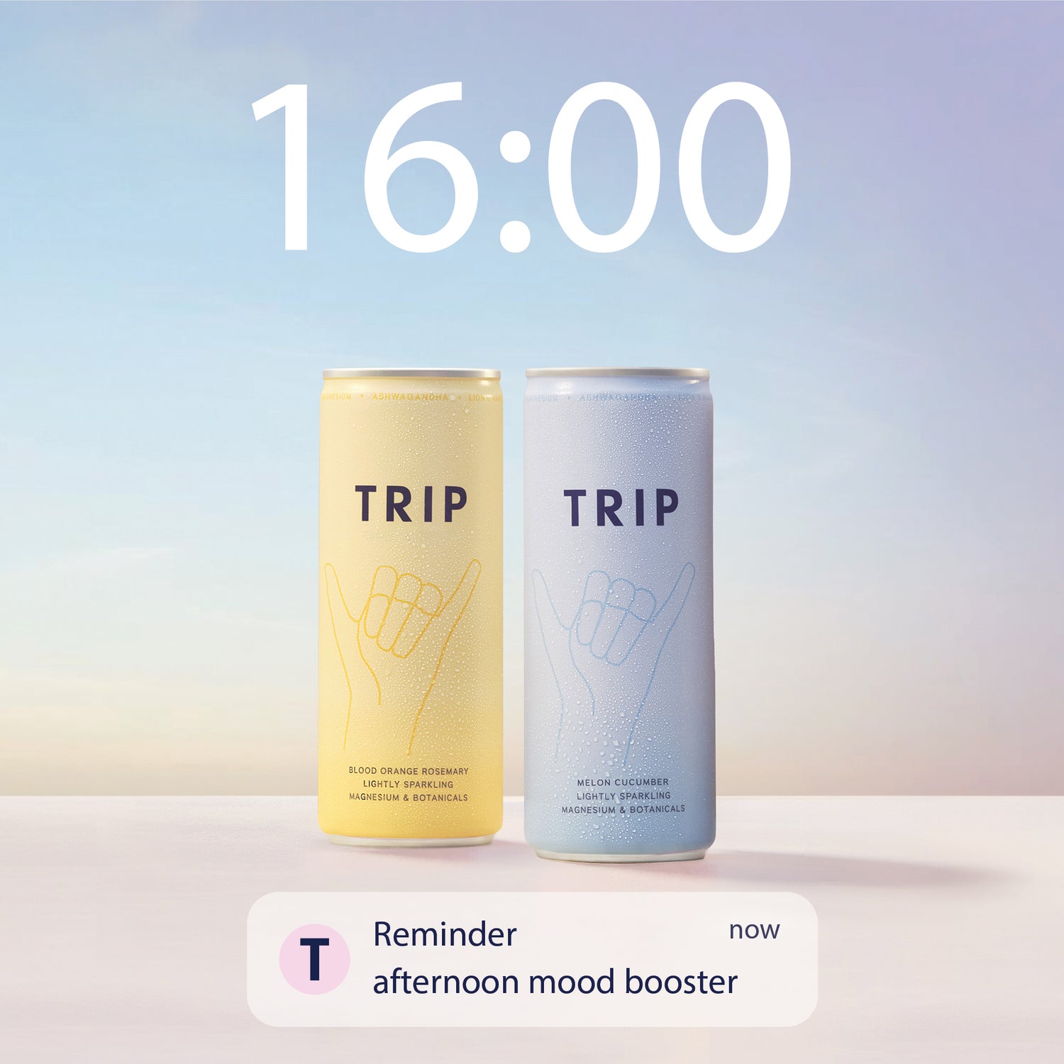 Melon Cucumber Mindful Blend